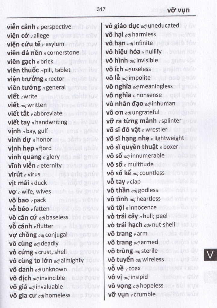English-Vietnamese & Vietnamese-English Word-to-Word Exam Dictionary ...