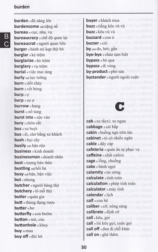 Maths Science & Social Studies English/Vietnamese Bilingual Dictionary ...
