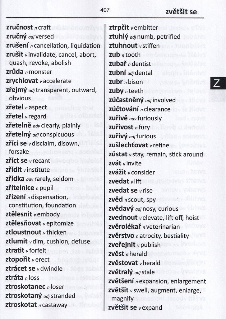 English-Czech & Czech-English Word-to-Word Exam Bilingual Dictionary ...